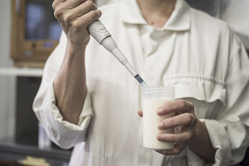 CSR - CLS Dairy products